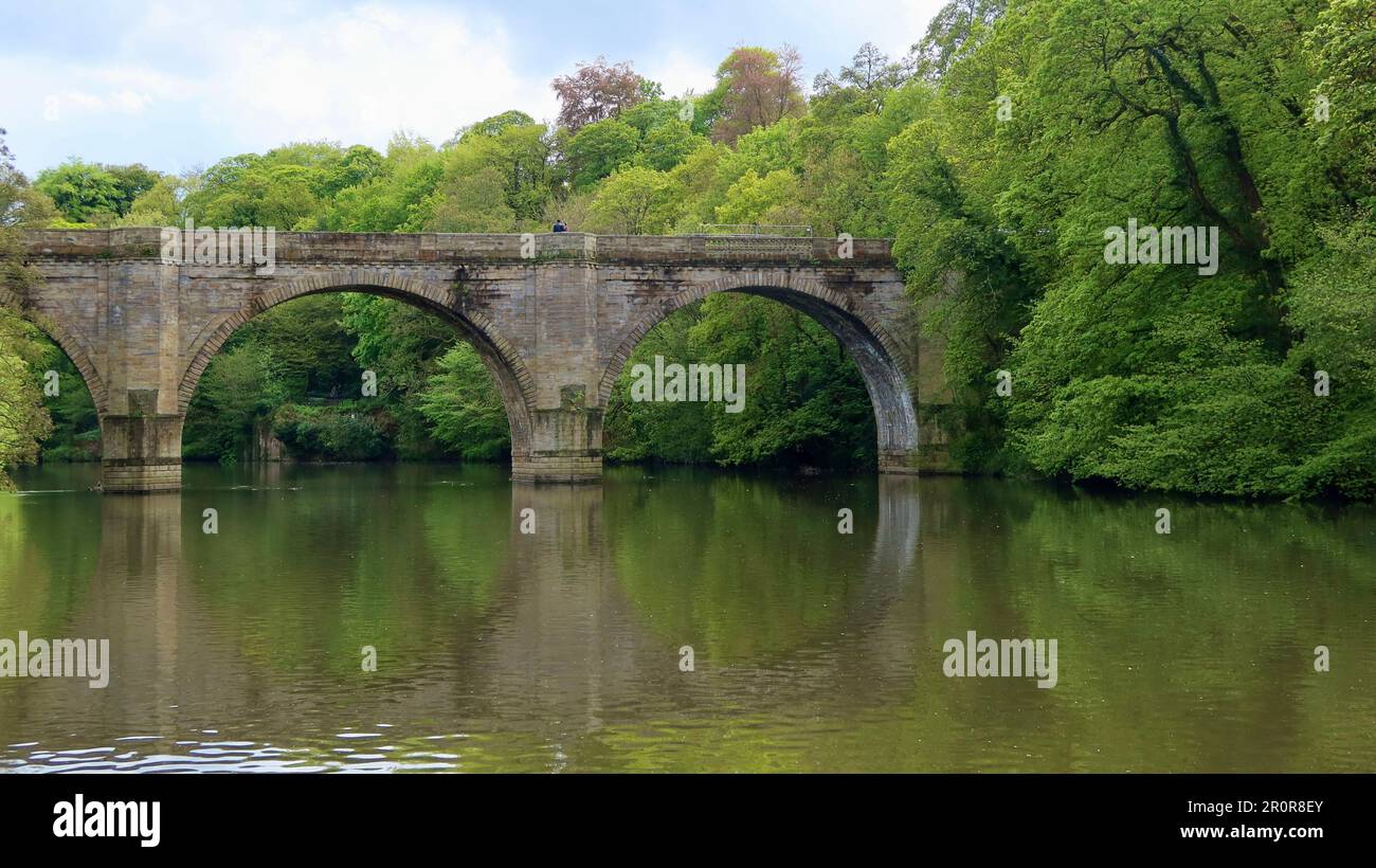Durham, UK - 9 May 2023: Bridge across the river Wear Stock Photo - Alamy