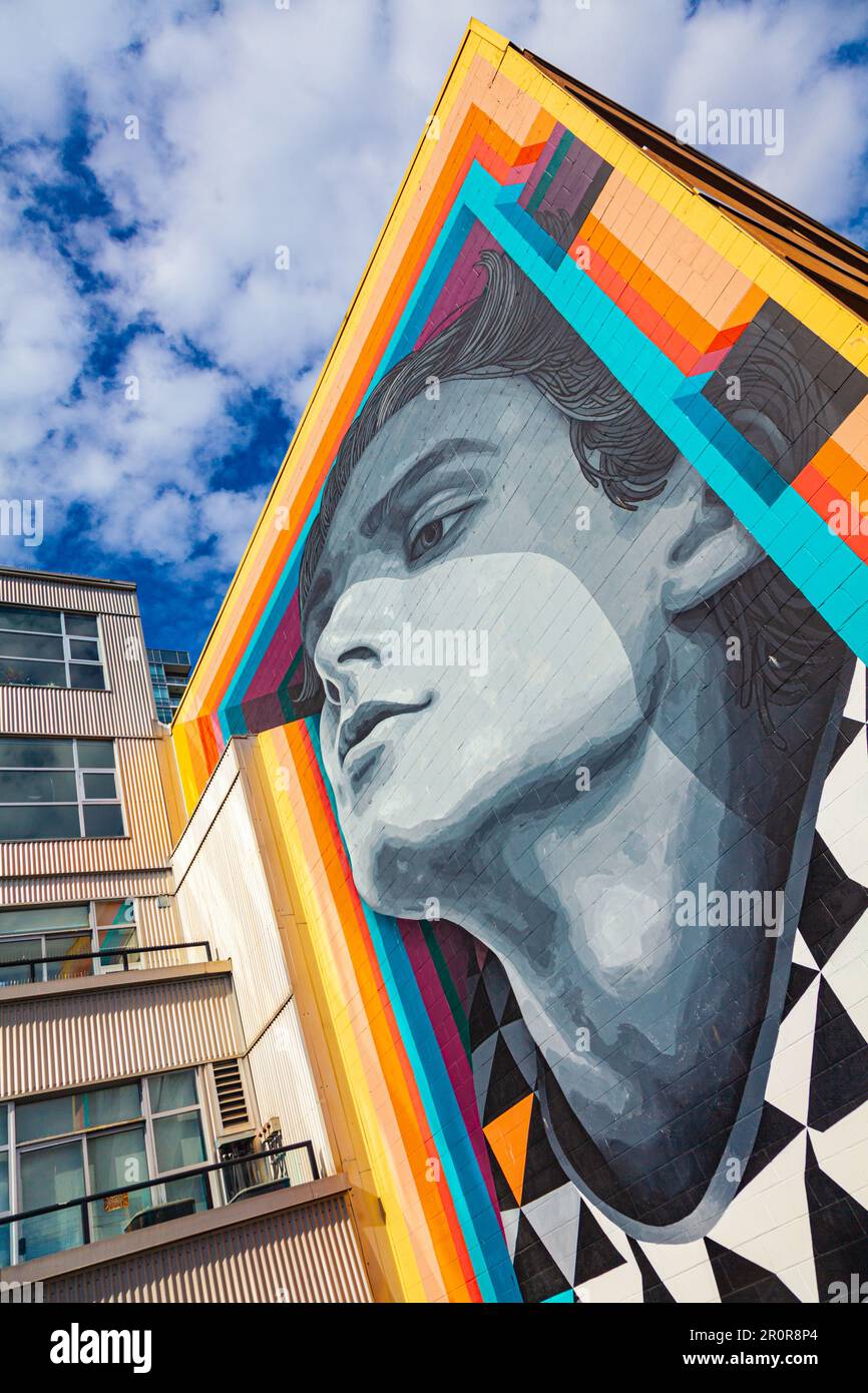 Public mural art by Medianeras 2019 in the Mount Pleasant district of ...