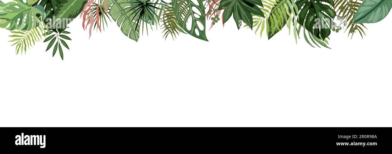 Tropical leaves and branches vector art border Stock Vector Image & Art ...