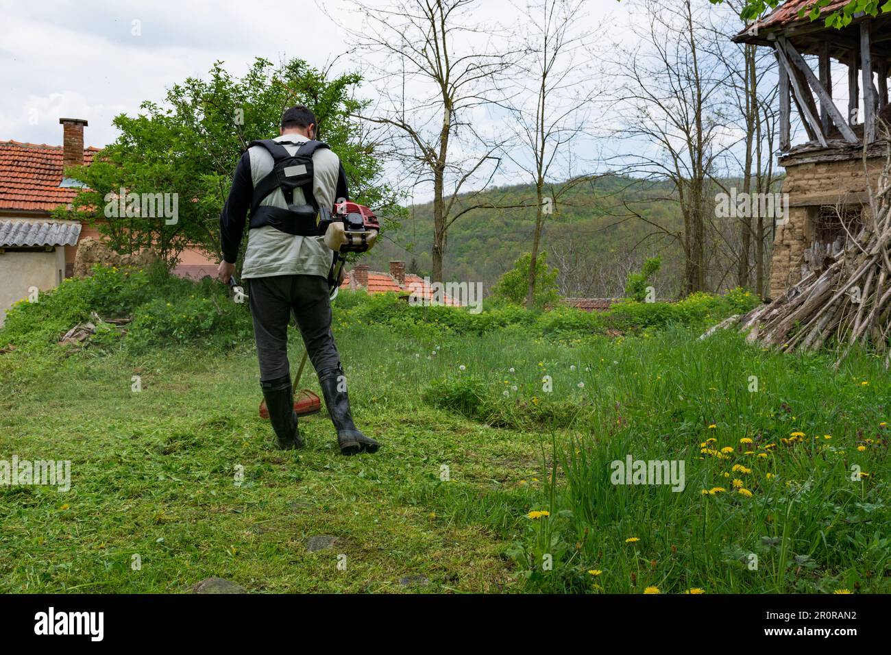 A farmer is mowing tall grass with a manual grass cutter behind his ...