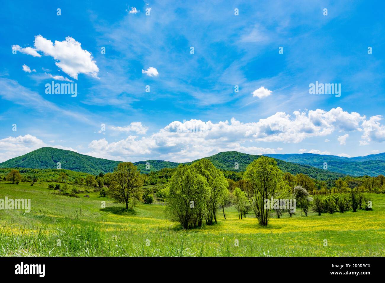 Beautiful panorama with green meadows, hills in the background, and ...