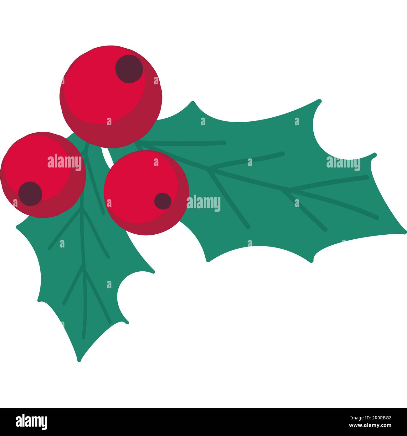 Christmas ilex with green leaves flat vector illustration. New year ...