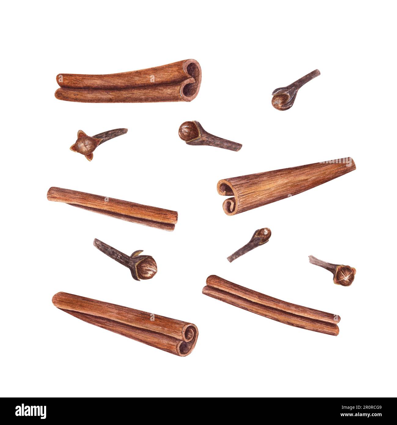 Watercolor set of cinnamons and cloves isolated on white background ...