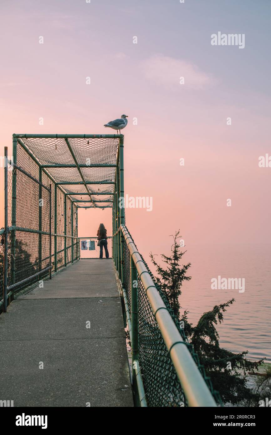 Pink sunset on public park hi-res stock photography and images - Alamy