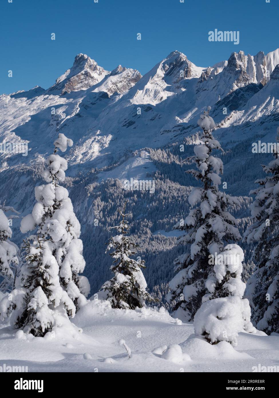 This stunning image captures the snow-covered French Alps, creating a ...