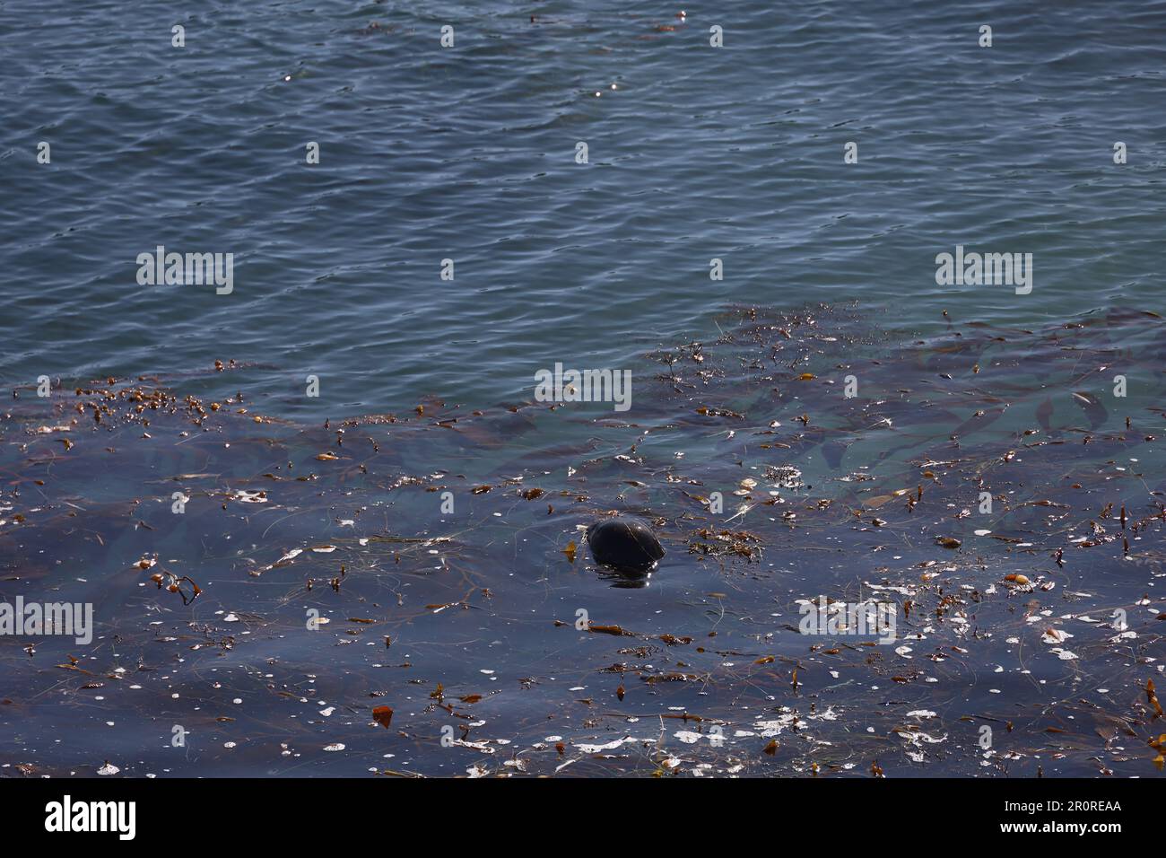 Rocks, beaches, and sky in Point Lobos State park in California Stock ...