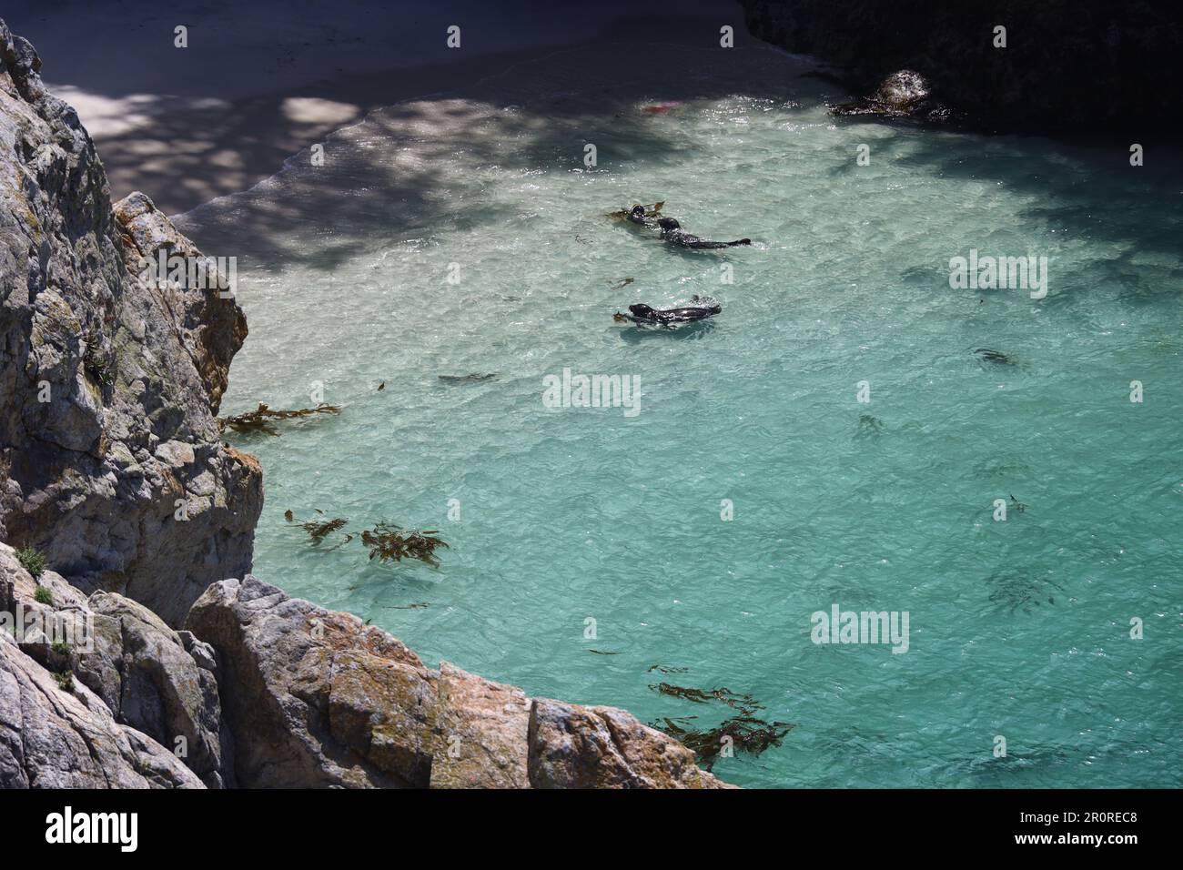 Rocks, beaches, and sky in Point Lobos State park in California Stock ...