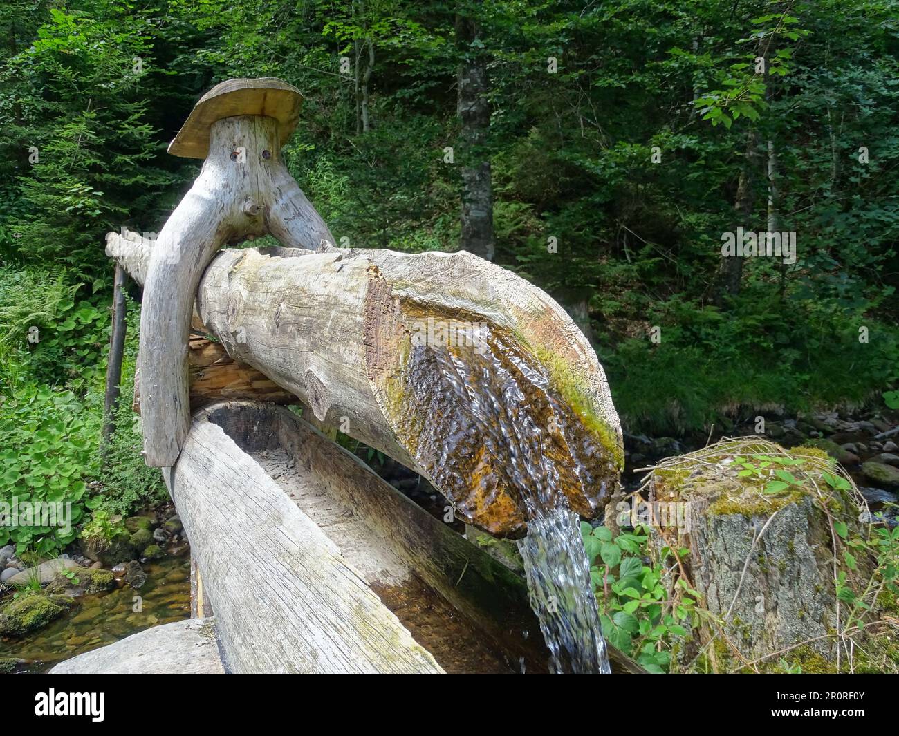 A picturesque water spring located in the majestic German Black Forest ...