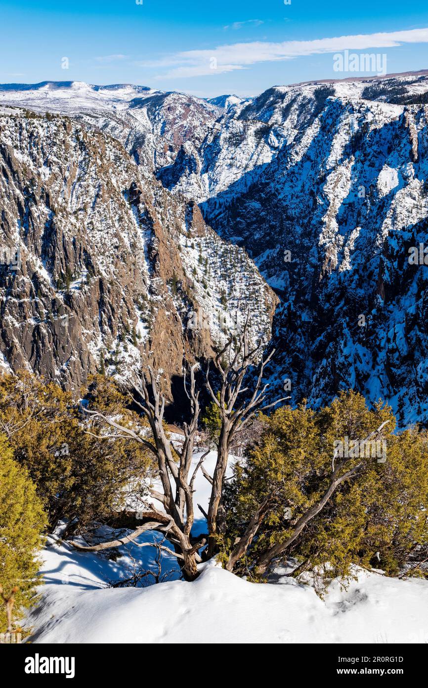 Spring snow; Black Canyon of the Gunnison National Park; Colorado; USA ...