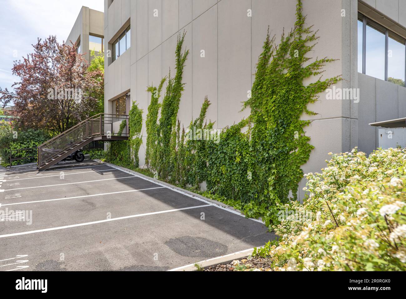 Parking area of an office building with a facade covered with climbing ...