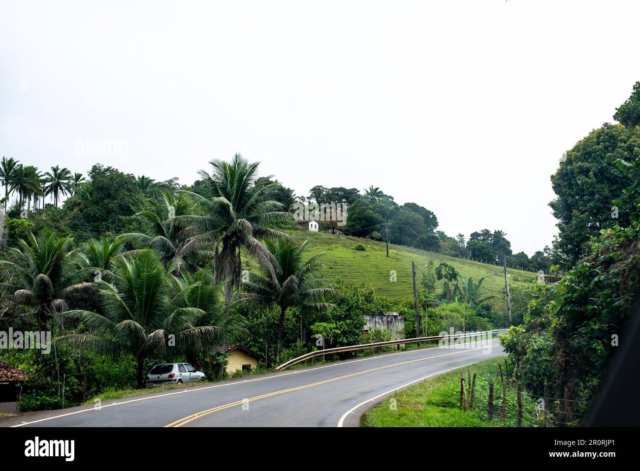 Road connecting the cities of Taperoa and Valenca in the Brazilian ...