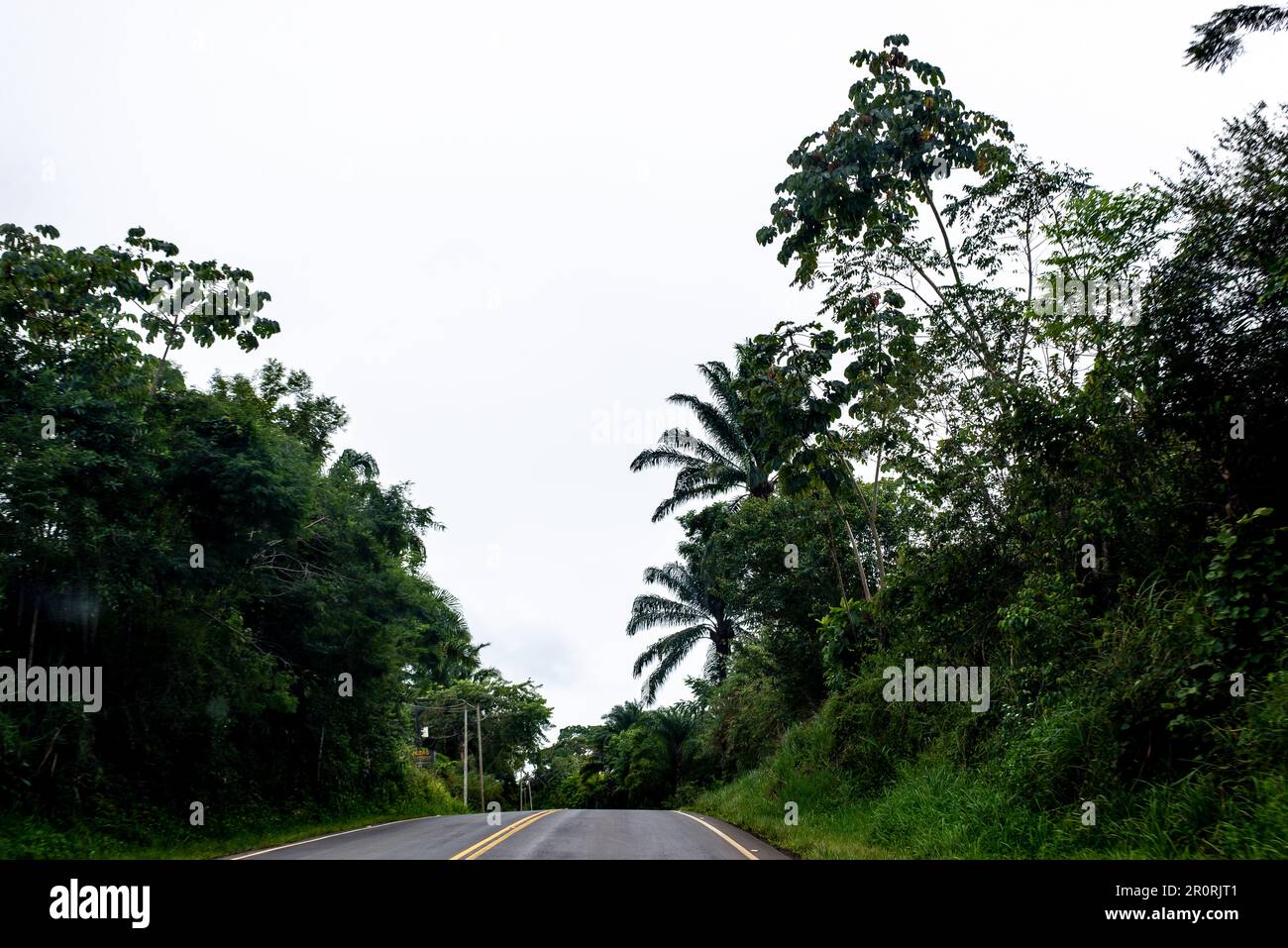 Road connecting the cities of Taperoa and Valenca in the Brazilian ...