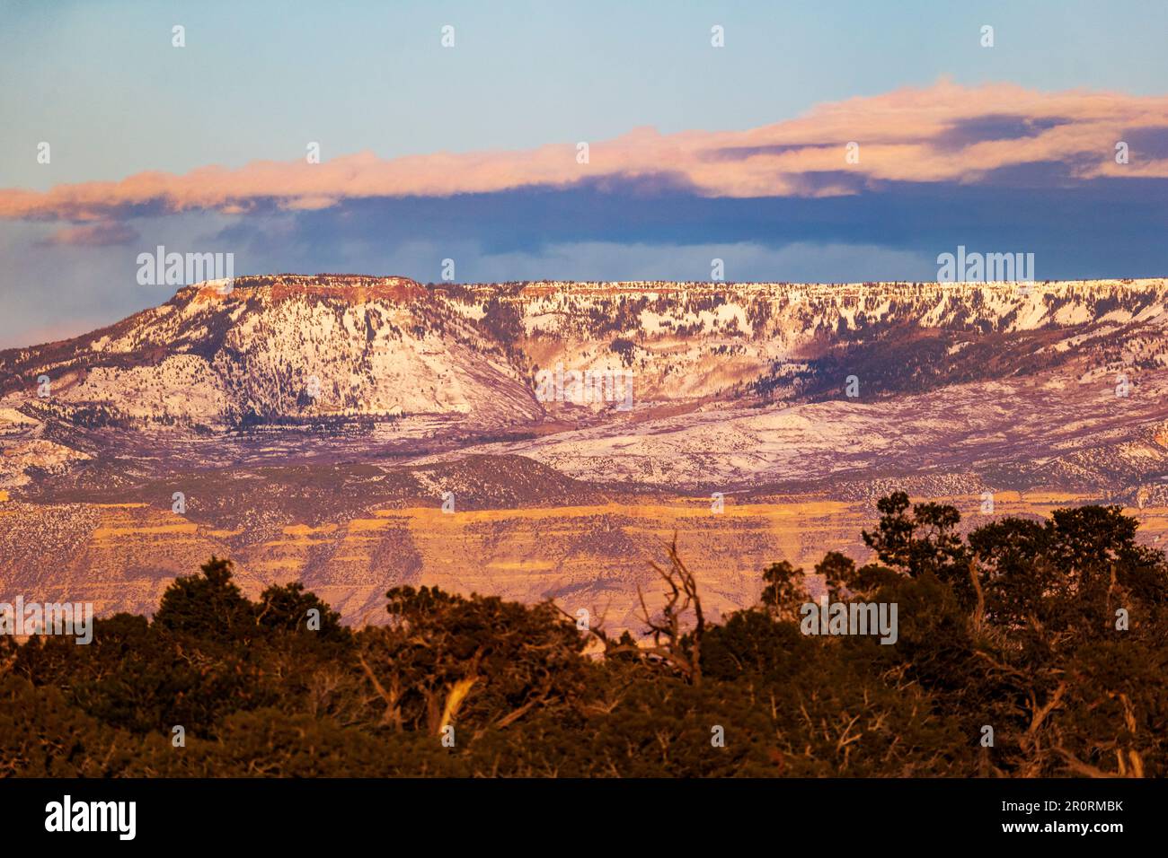 Colorado River Valley; Fruita; Book Cliffs Range beyond; Colorado; USA ...