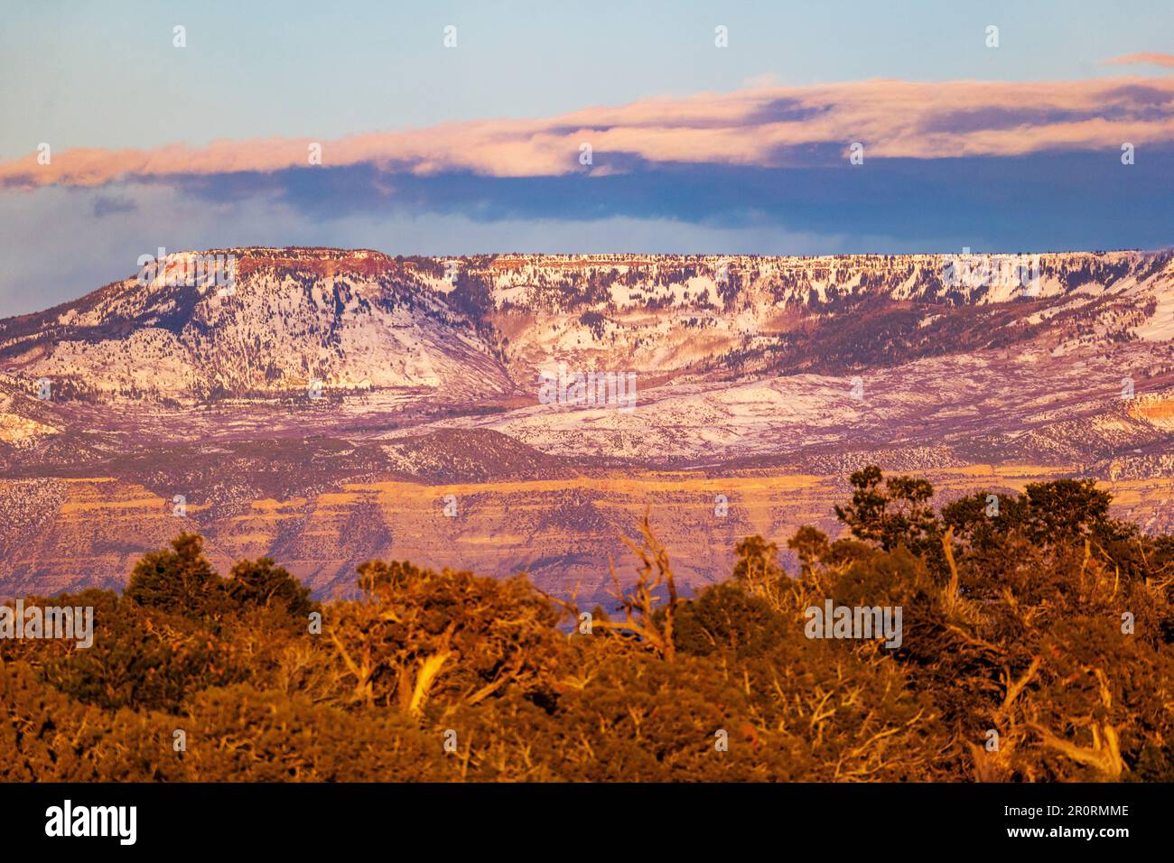 Colorado River Valley; Fruita; Book Cliffs Range beyond; Colorado; USA ...