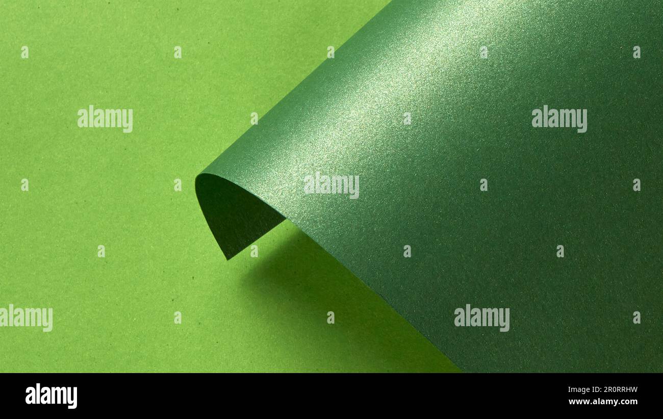 curved sheet of dark green paper on light green paper background ...