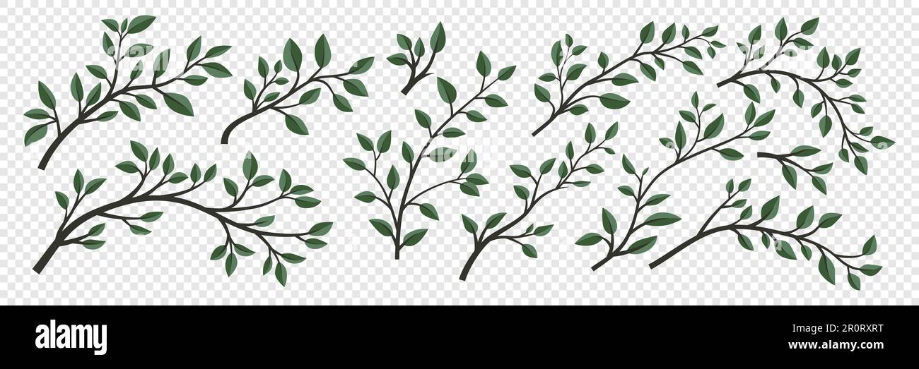Tree Brunch Icon Set Isolated. Flat Cartoon Simple Twig with Green ...