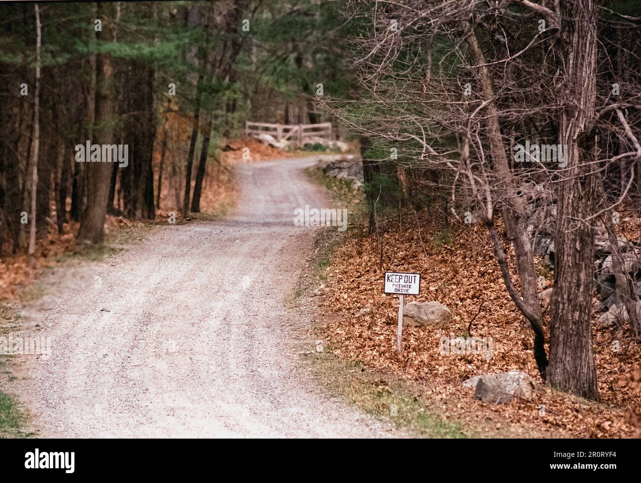 Fuji superia 400 hi-res stock photography and images - Alamy