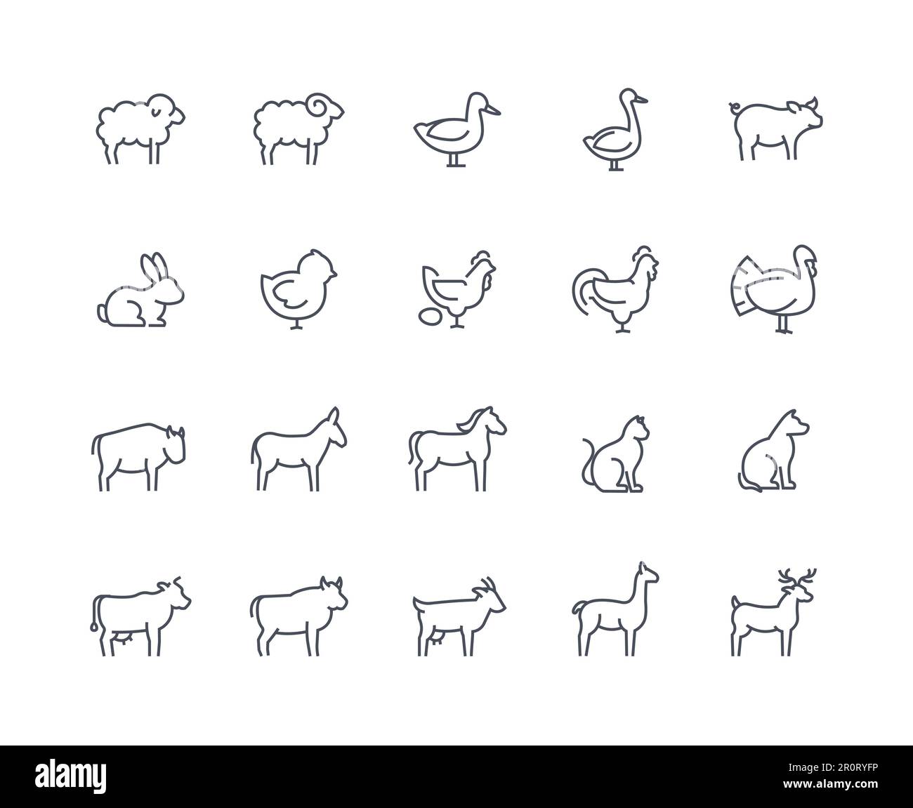 Domestic animals icons outline set Stock Vector Image & Art - Alamy