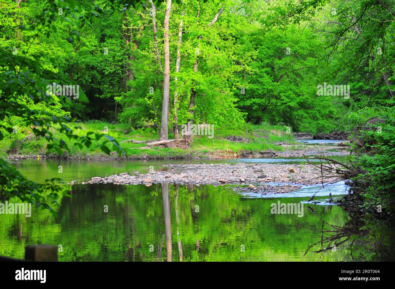Creek scene reflection nature hi-res stock photography and images - Alamy