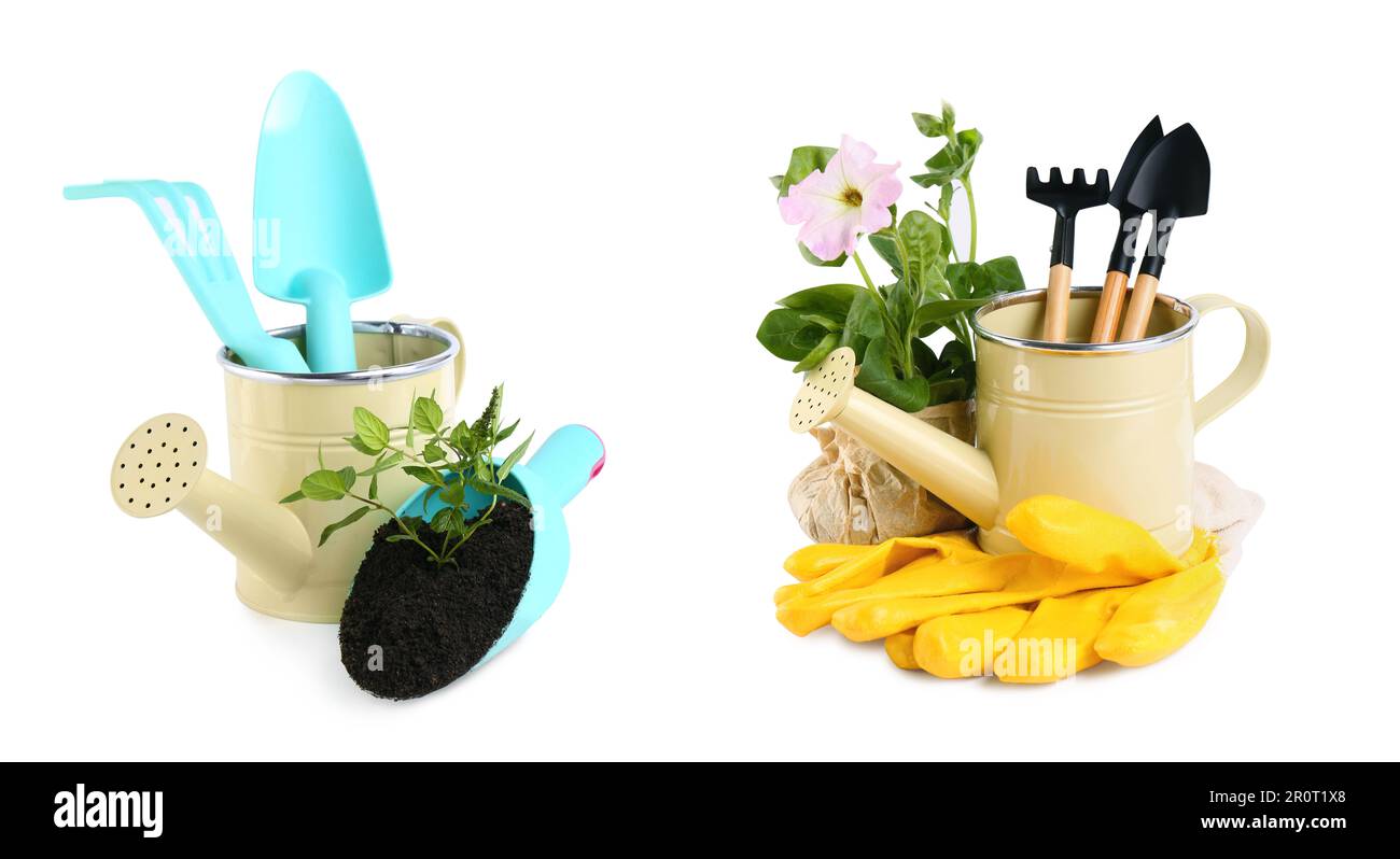 Watering cans and different gardening tools on white background. Banner ...