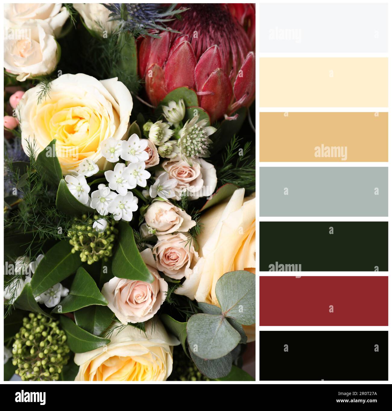 Beautiful fresh flowers and color palette. Collage Stock Photo - Alamy
