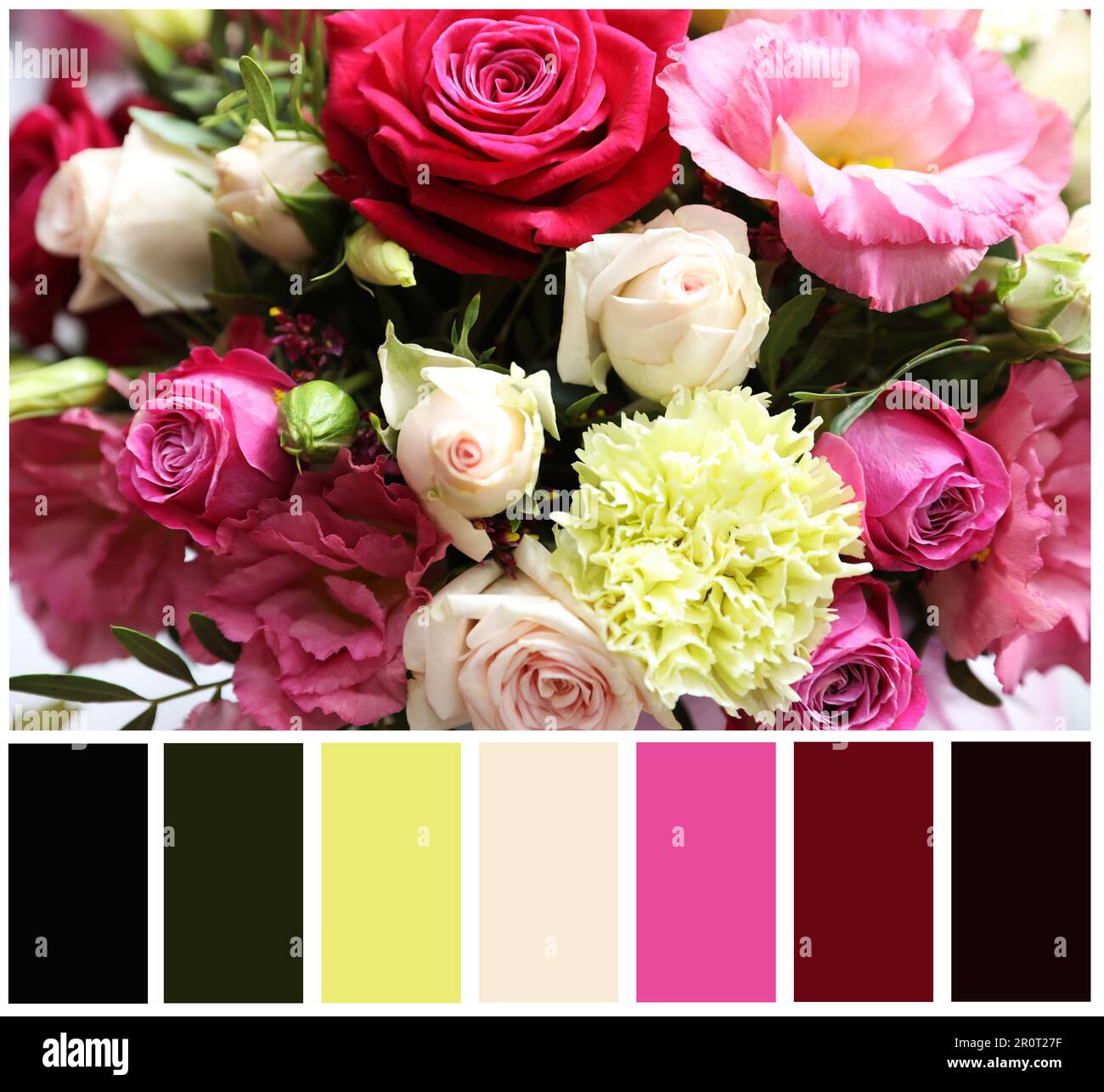 Beautiful fresh flowers and color palette. Collage Stock Photo - Alamy