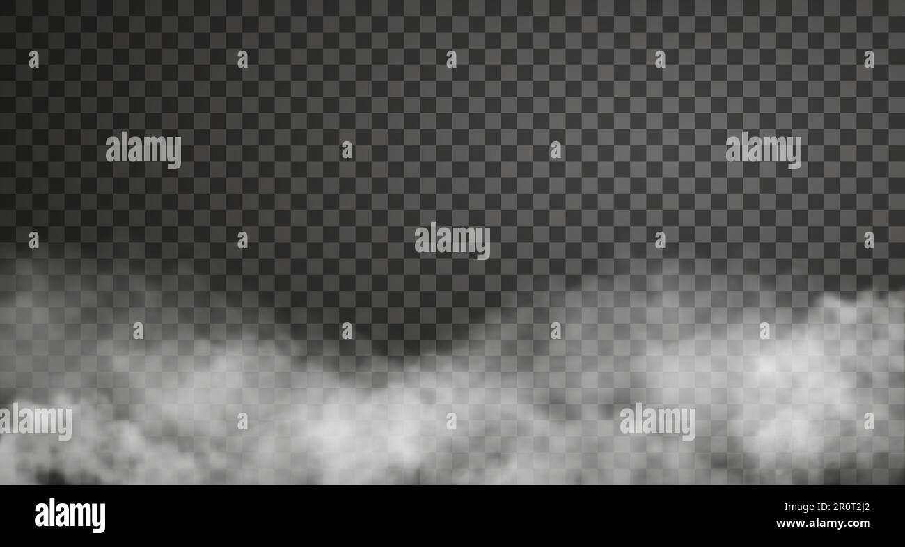 White smoke effect isolated on transparent background Stock Vector ...