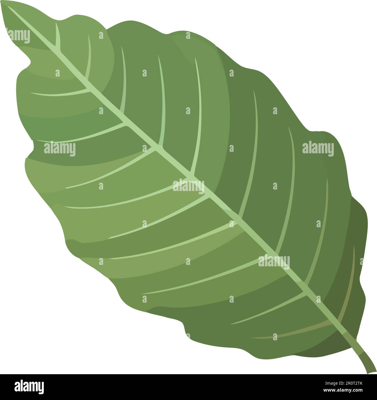 Green leaf symbolize nature growth Stock Vector Image & Art - Alamy