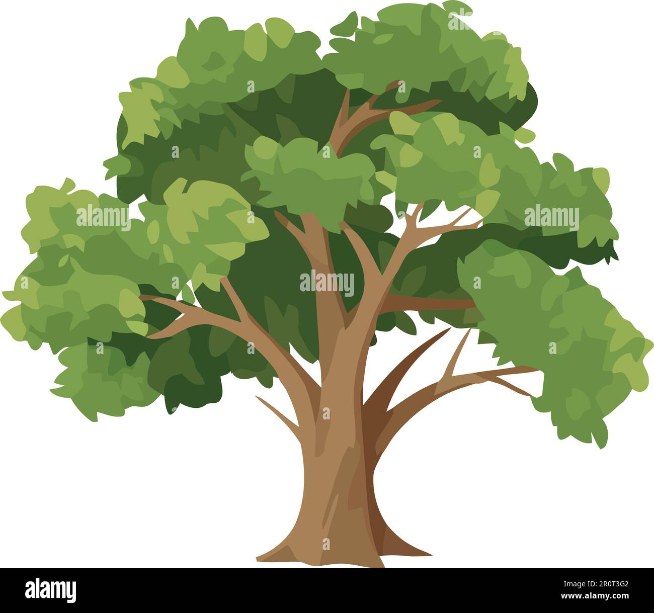 tree branch symbolize growth Stock Vector Image & Art - Alamy