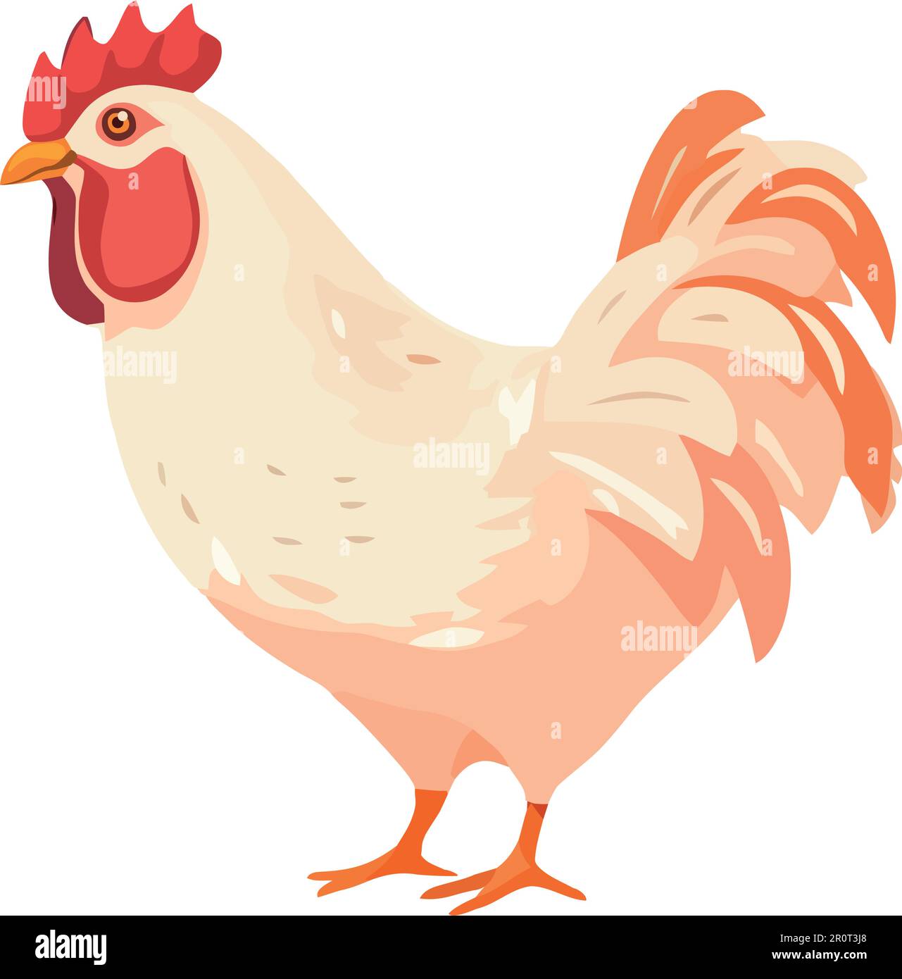 Free range chicken standing Stock Vector Image & Art - Alamy