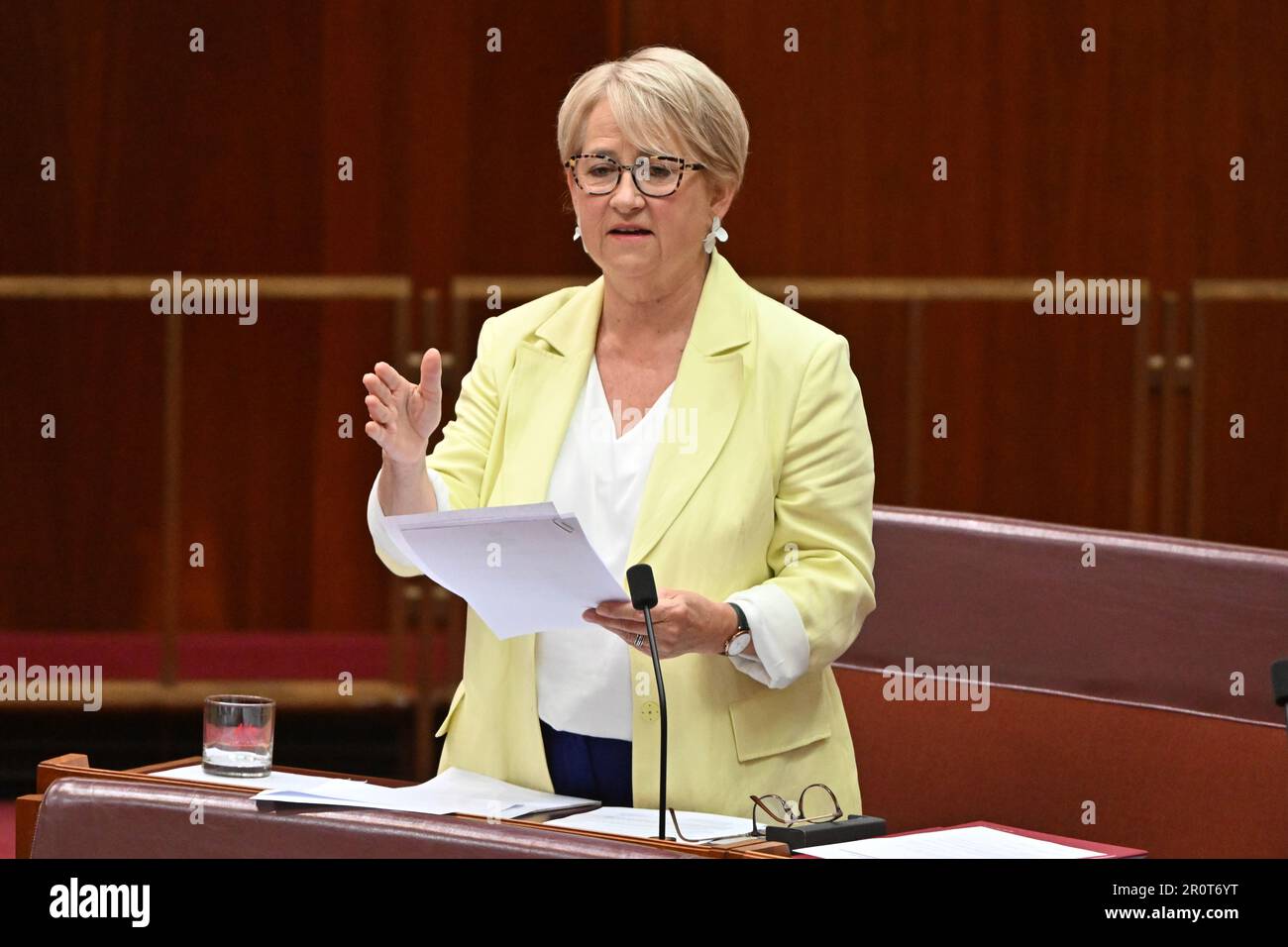 Greens Senator Barbara Pocock speaks in the Senate chamber at ...