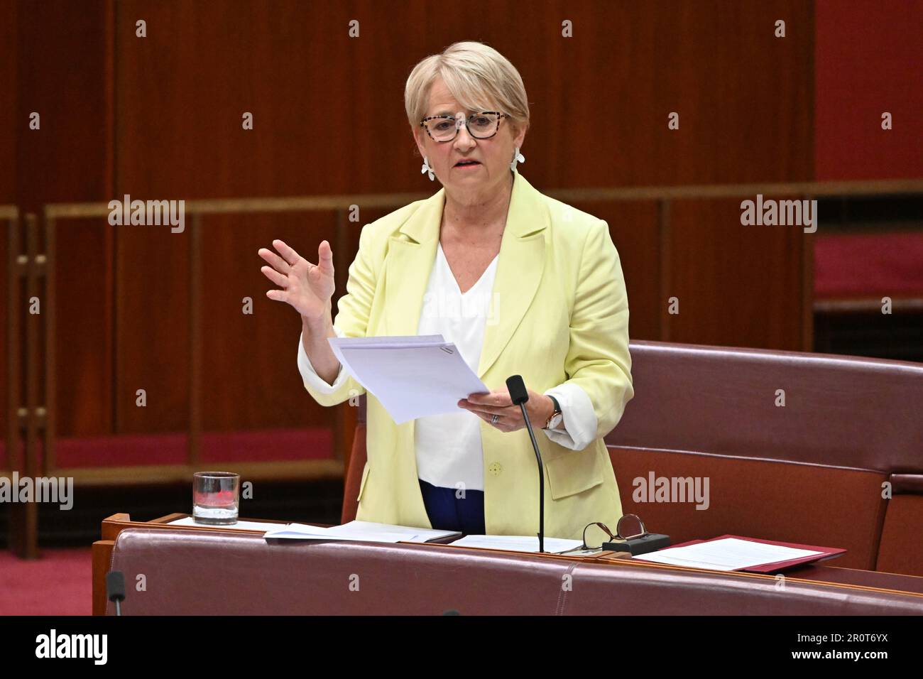 Greens Senator Barbara Pocock speaks in the Senate chamber at ...