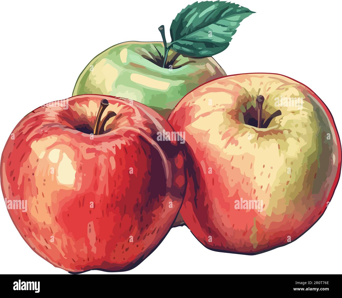 Fresh organic apple, a healthy gourmet snack Stock Vector Image & Art ...