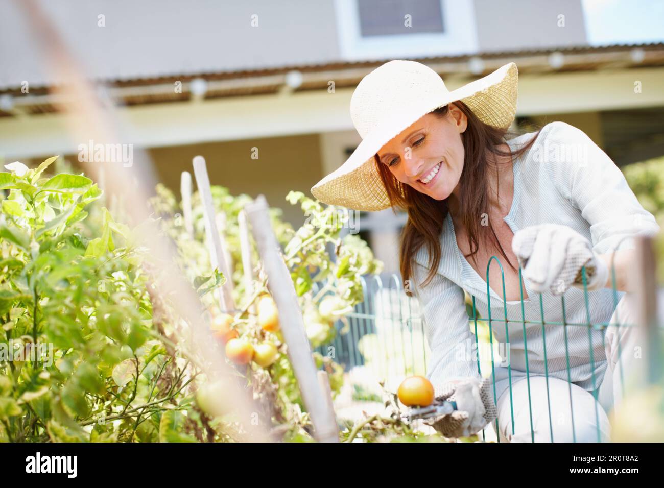 The best fertilizer is a gardners shadow. A beautiful woman picks ...