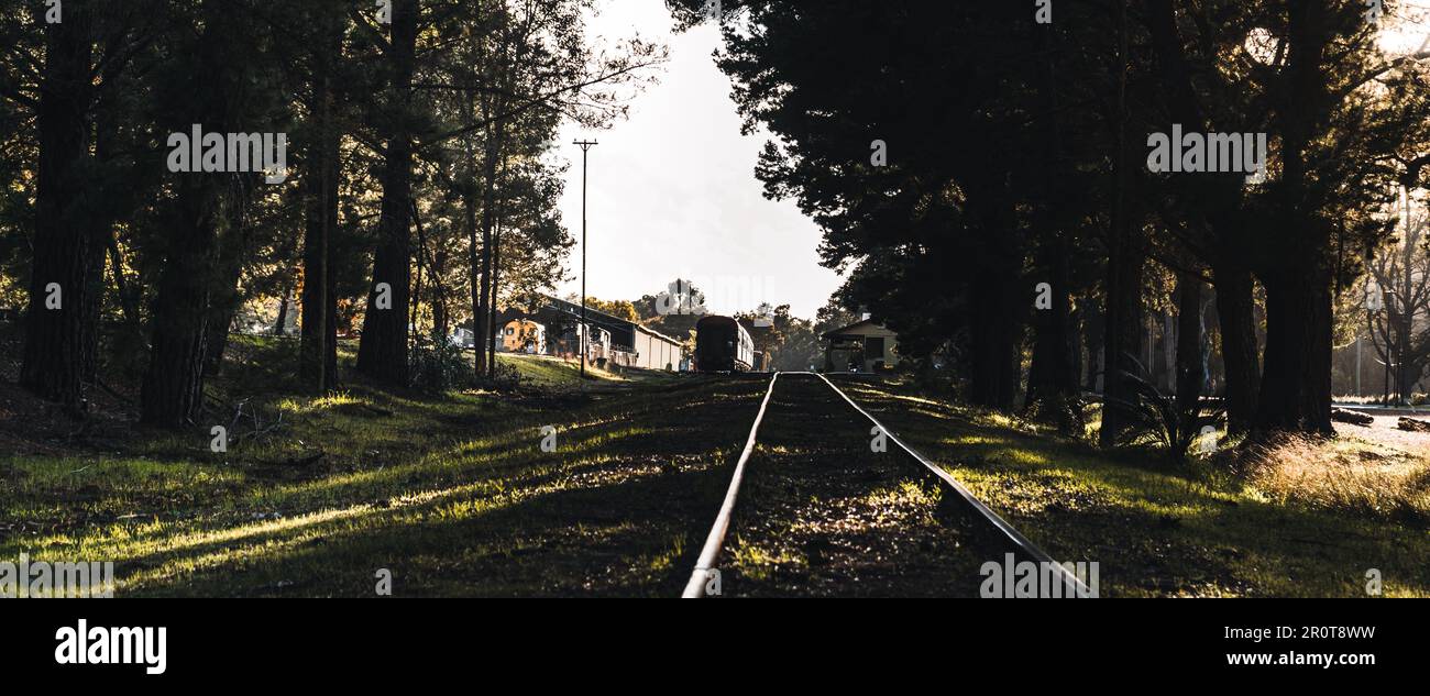 Train tracks surrounded by trees leading to station with a train at ...