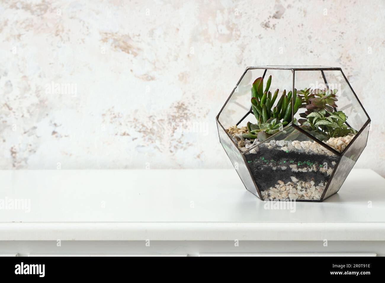 Florarium on table near light wall Stock Photo - Alamy