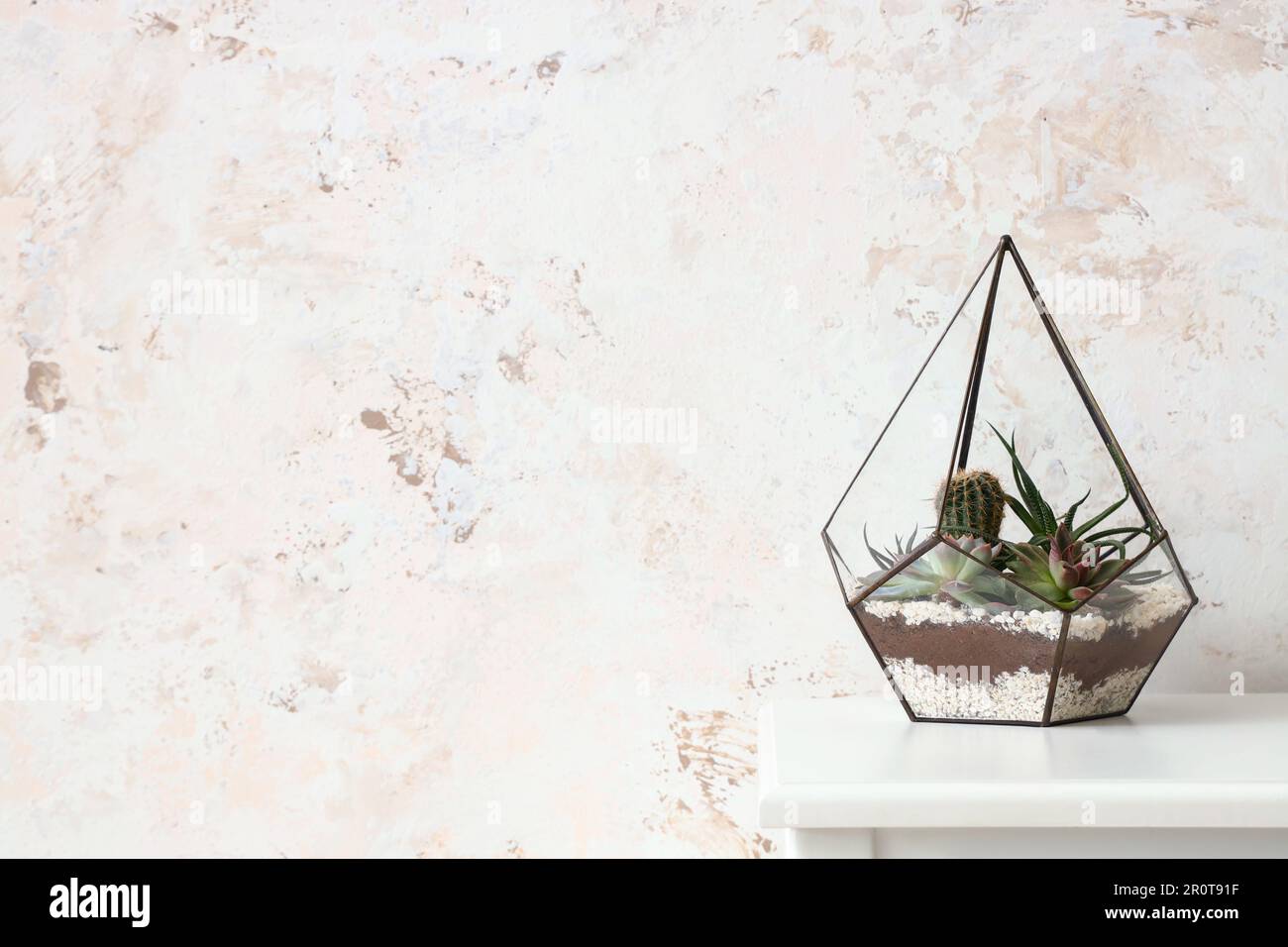 Florarium on table near light wall Stock Photo - Alamy