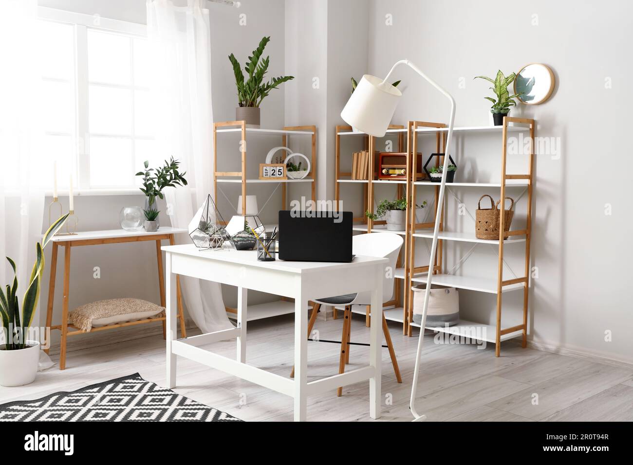 Interior of office with workplace, florariums and houseplants Stock ...