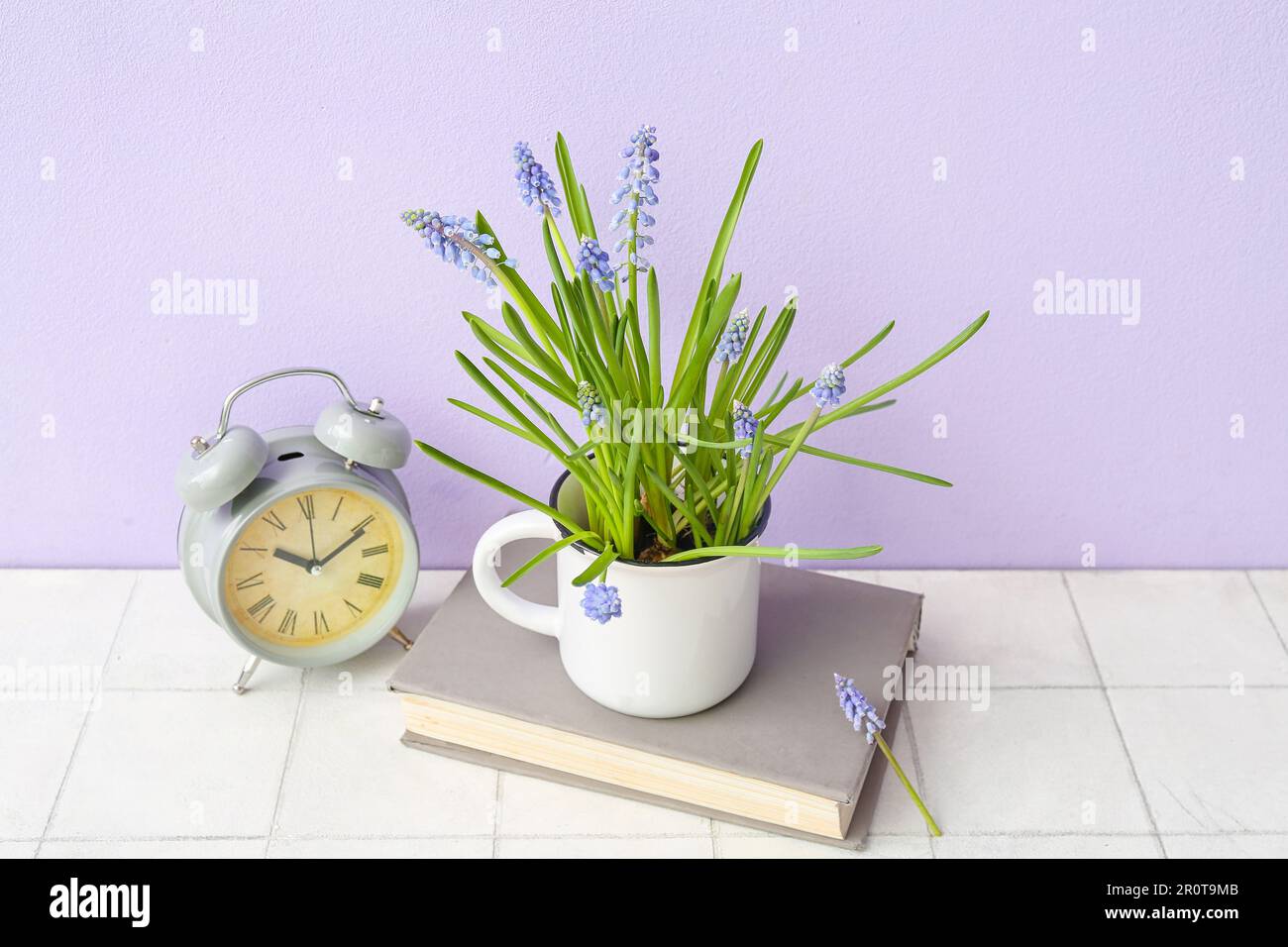 Cup with beautiful Muscari flowers, alarm clock and book on tiled table ...