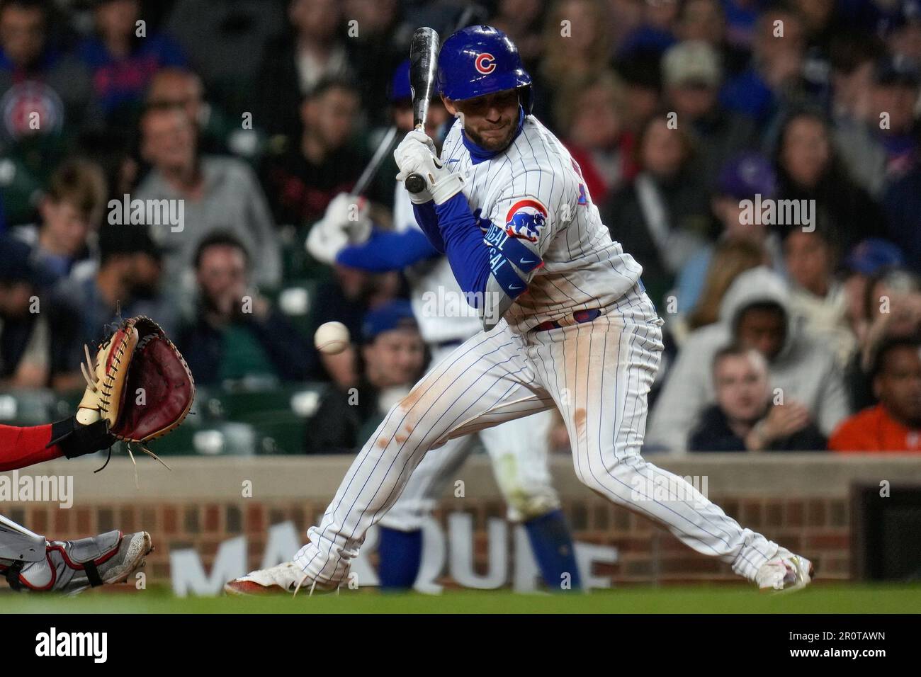 Chicago Cubs' Nick Madrigal is hit by a pitch from St. Louis Cardinals ...