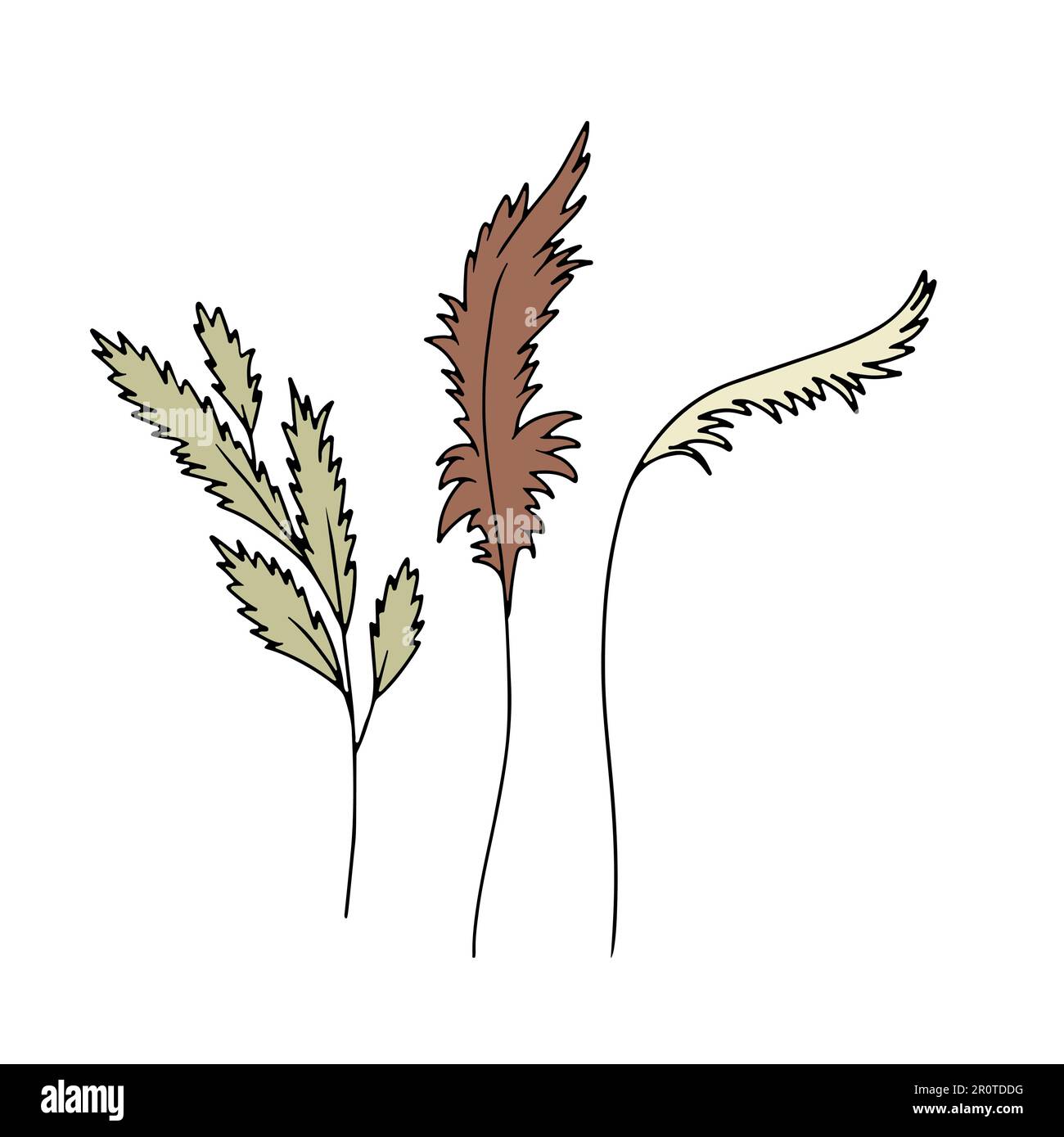 Hand drawn wild flowers illustrations set isolated on white background ...