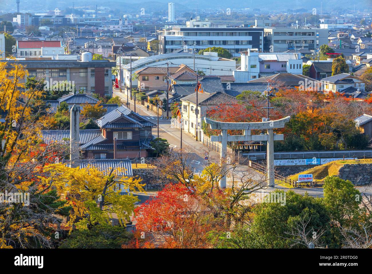 Nakatsu, Japan - Nov 26 2022: Nakatsu Daijingu Grand Shrine and shrines ...