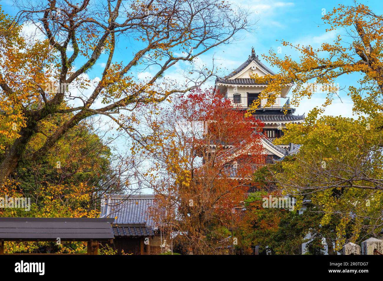 Nakatsu, Japan - Nov 26 2022: Nakatsu Castle known as one of the three ...