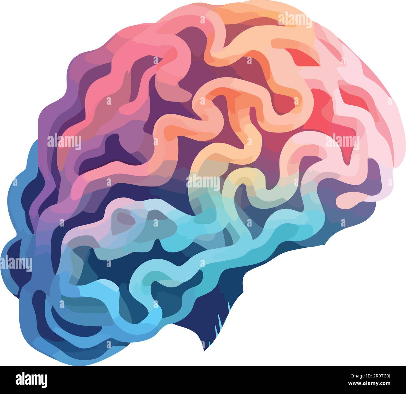 Brain anatomy inspires creativity science Stock Vector Image & Art - Alamy