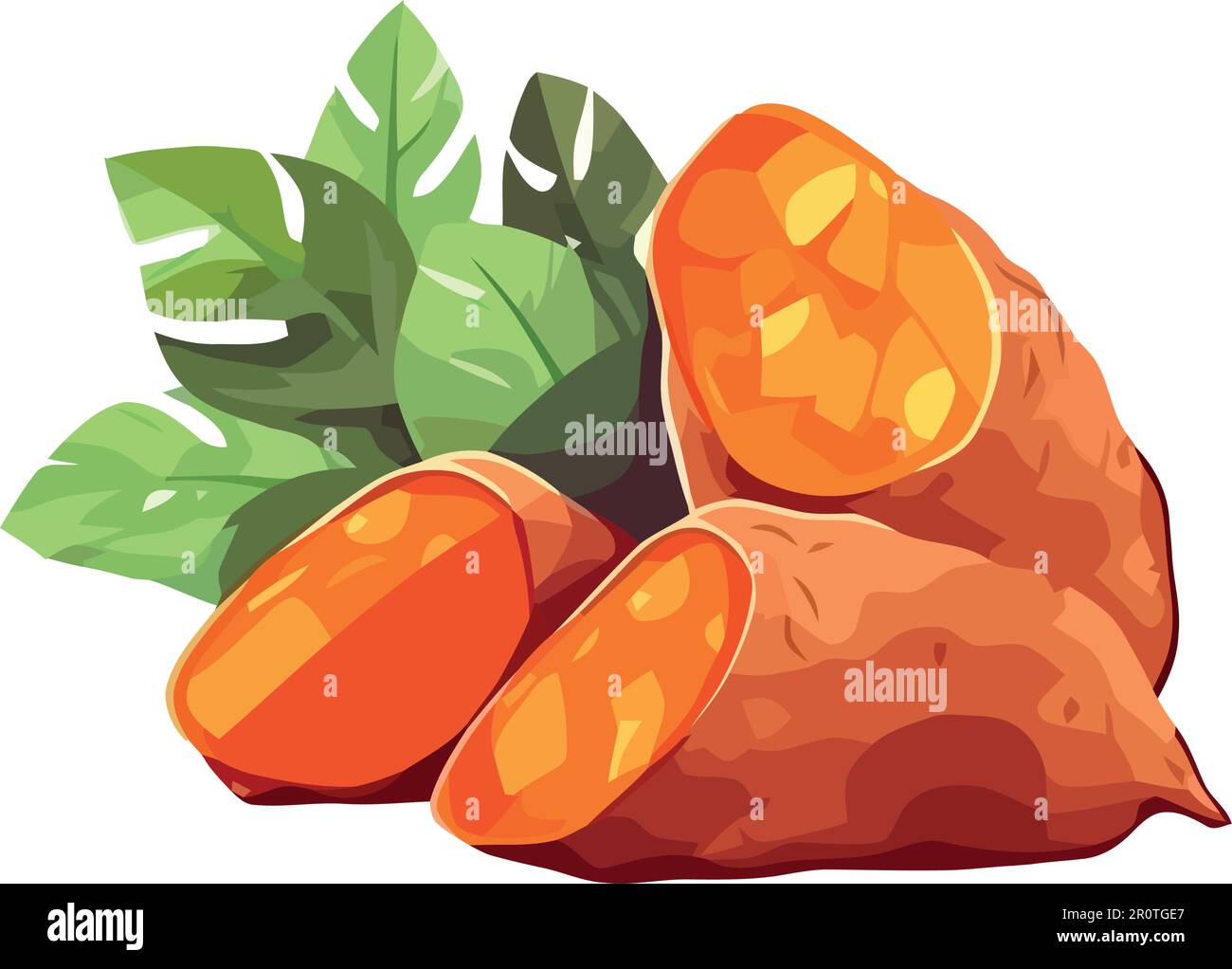sweet potatoes design Stock Vector Image & Art - Alamy