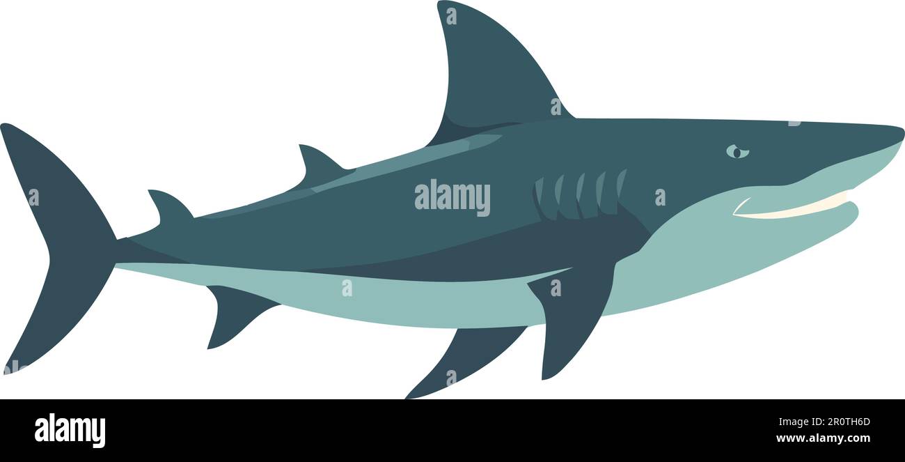 Swimming shark illustration Stock Vector Image & Art - Alamy