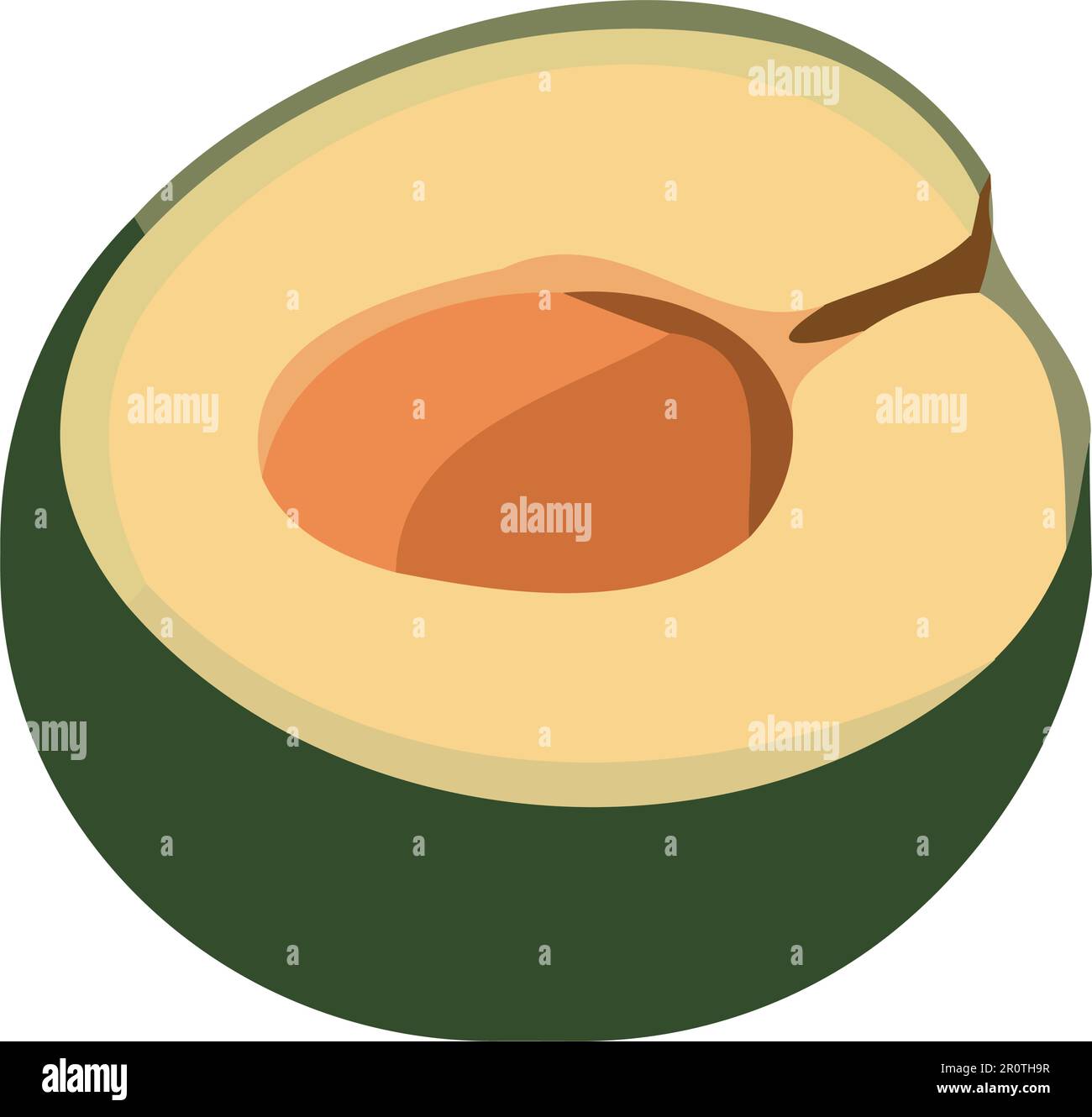 Ripe avocado slice illustration Stock Vector Image & Art - Alamy
