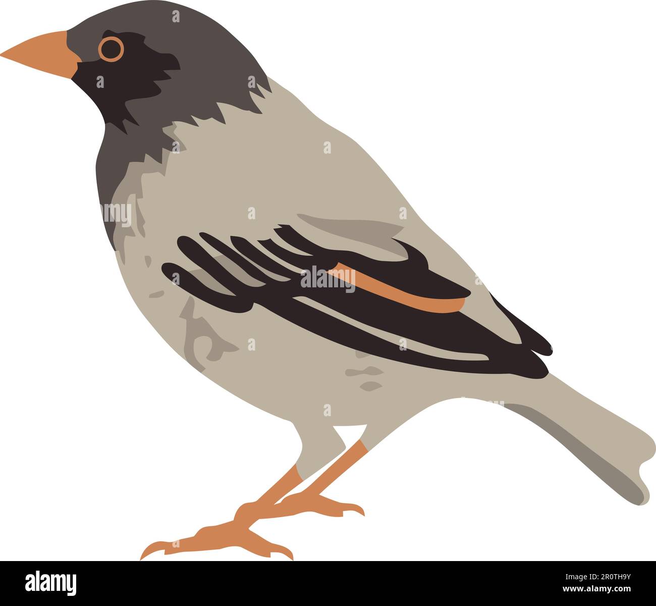 Cute cartoon bird with yellow feathers flying Stock Vector Image & Art ...