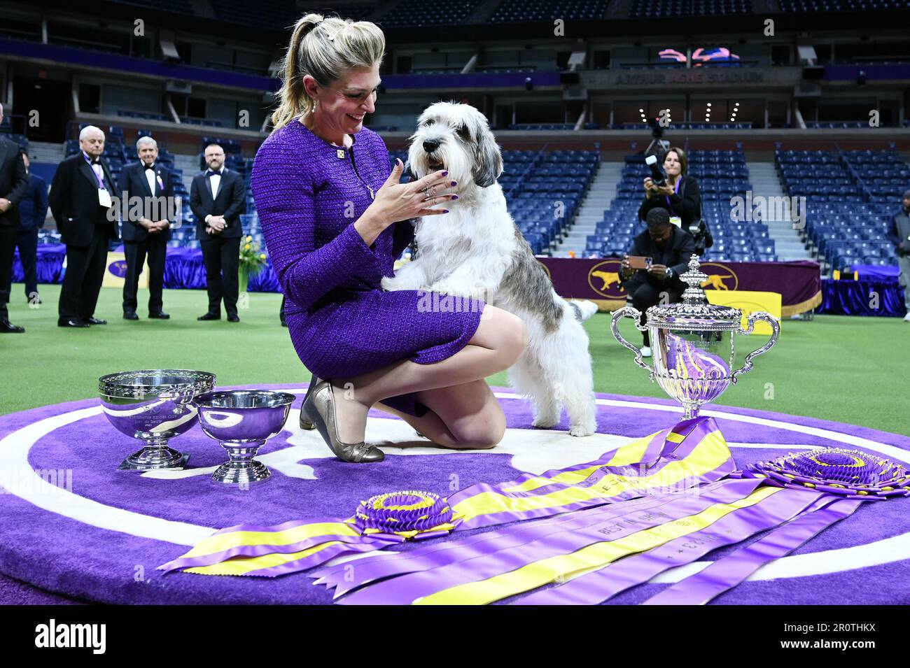 New York, USA. 09th May, 2023. A Petit Basset Griffon Vendeen named ...