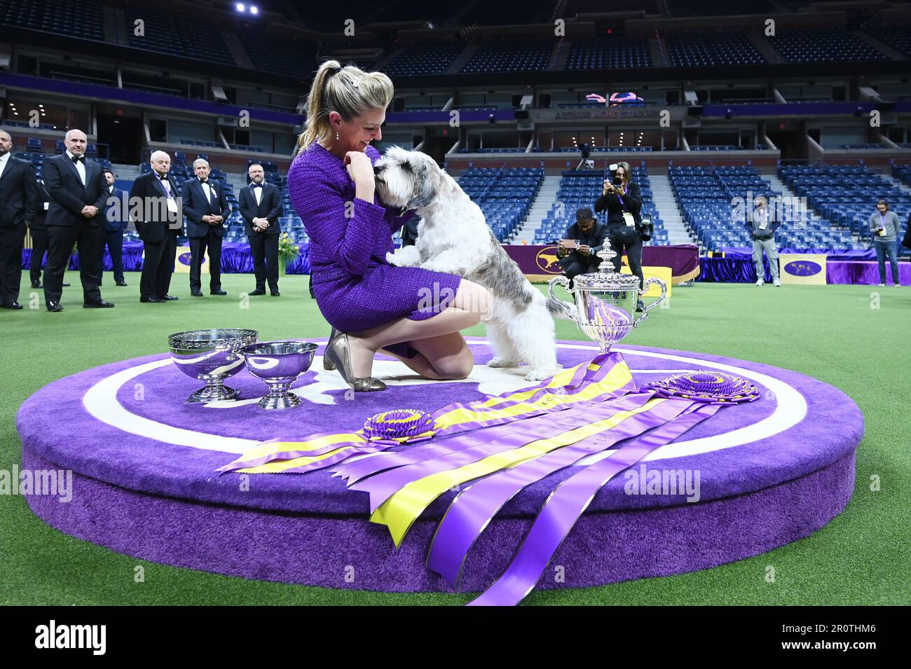 New York, USA. 09th May, 2023. A Petit Basset Griffon Vendeen named ...